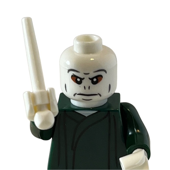 WM Blocks | Toys | Harry Potter Lord Voldemort Nagini Snake Mini Figure ...